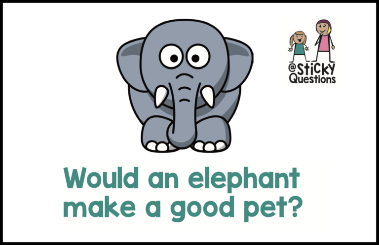 16 Sample Sticky Questions, 7 Days to Buy Your Class Set - The ...