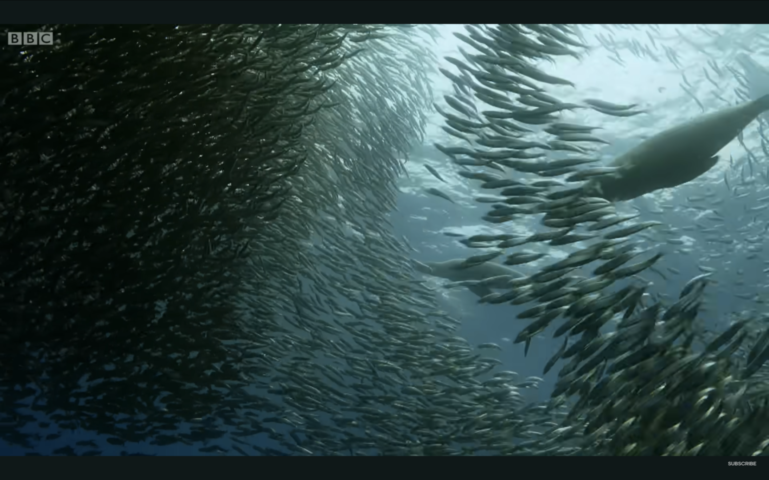 P4C Resources - Valued by over 17,000 teachers | The Philosophy Man